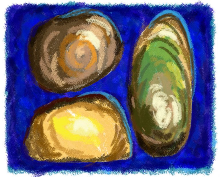 Natural Forms – peter town